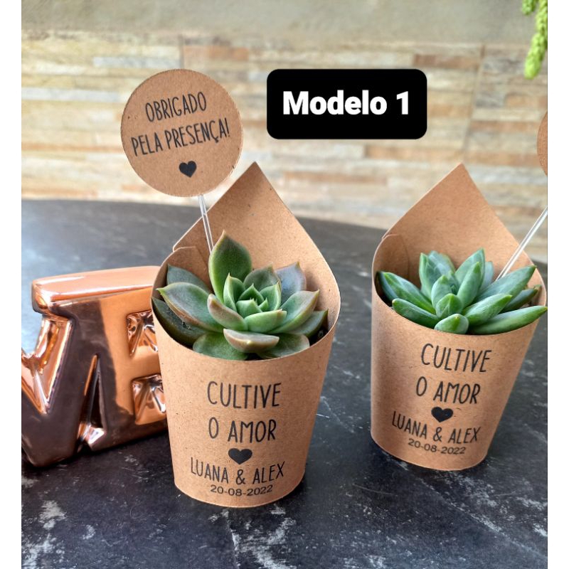 kit Rótulo e Tag Personalizado para Suculentas | Shopee Brasil