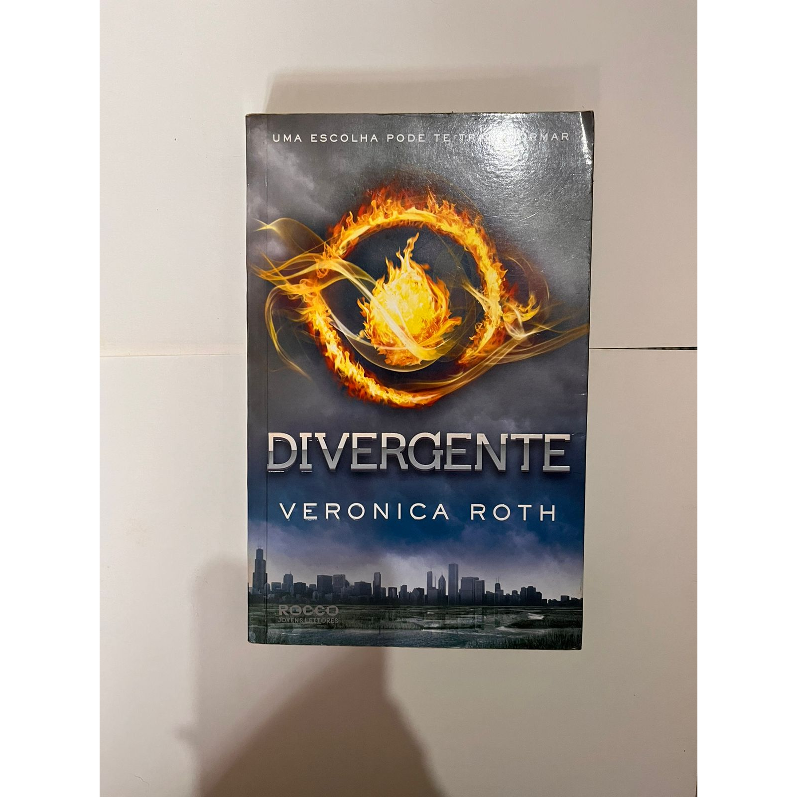 Divergente, Uma Escolha Pode Te Transformar (Trilogia Divergente Livro ...