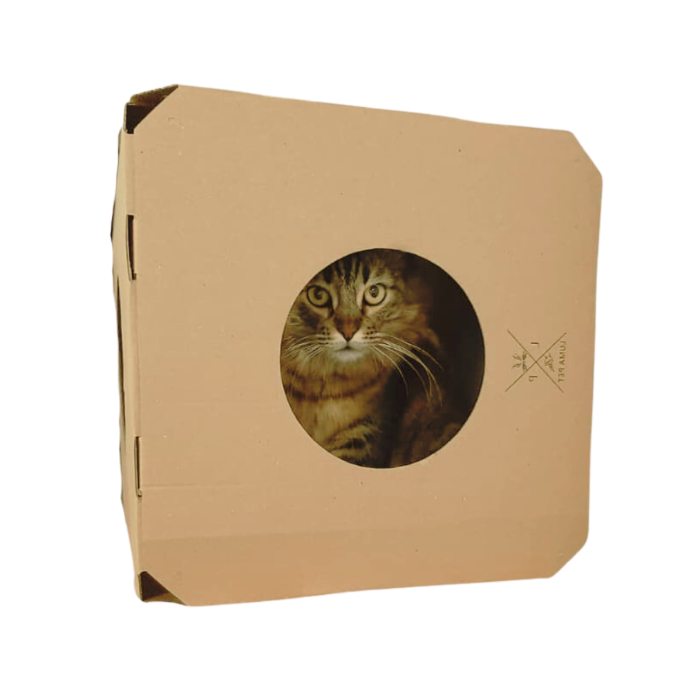 Brinquedo Gato Caixa Nicho Labirinto Box Cubo Toca Gatos Pet Gatos ...
