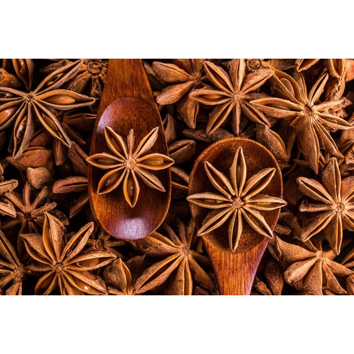 Anis Estrelado Flor Safra Nova 500g | Shopee Brasil