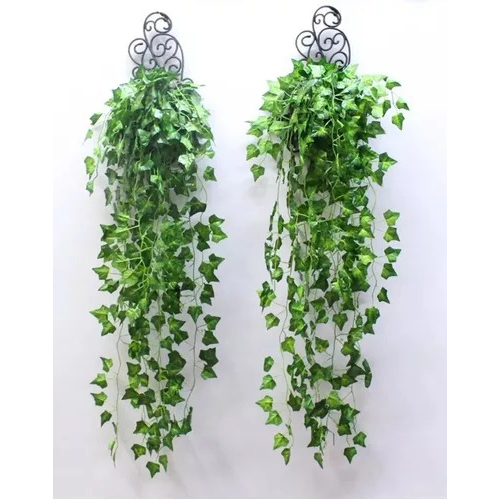 folha de samambaia artifícial 6m Trepadeira Hera Decorativa. | Shopee ...