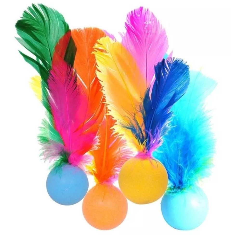 Brinquedo Para Gato Bolinha Ping Pong Com Pena 11cm | Shopee Brasil