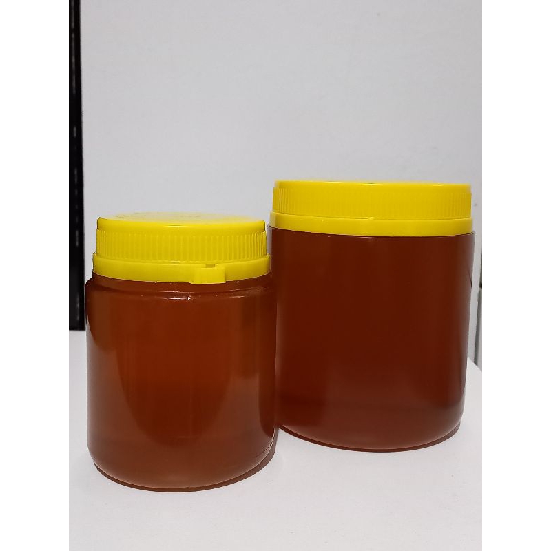 Mel Puro 500g 100% natural direto do produtor | Shopee Brasil