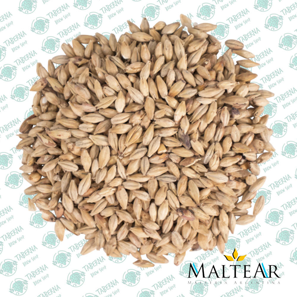 Malte Munich - MalteAR | Shopee Brasil