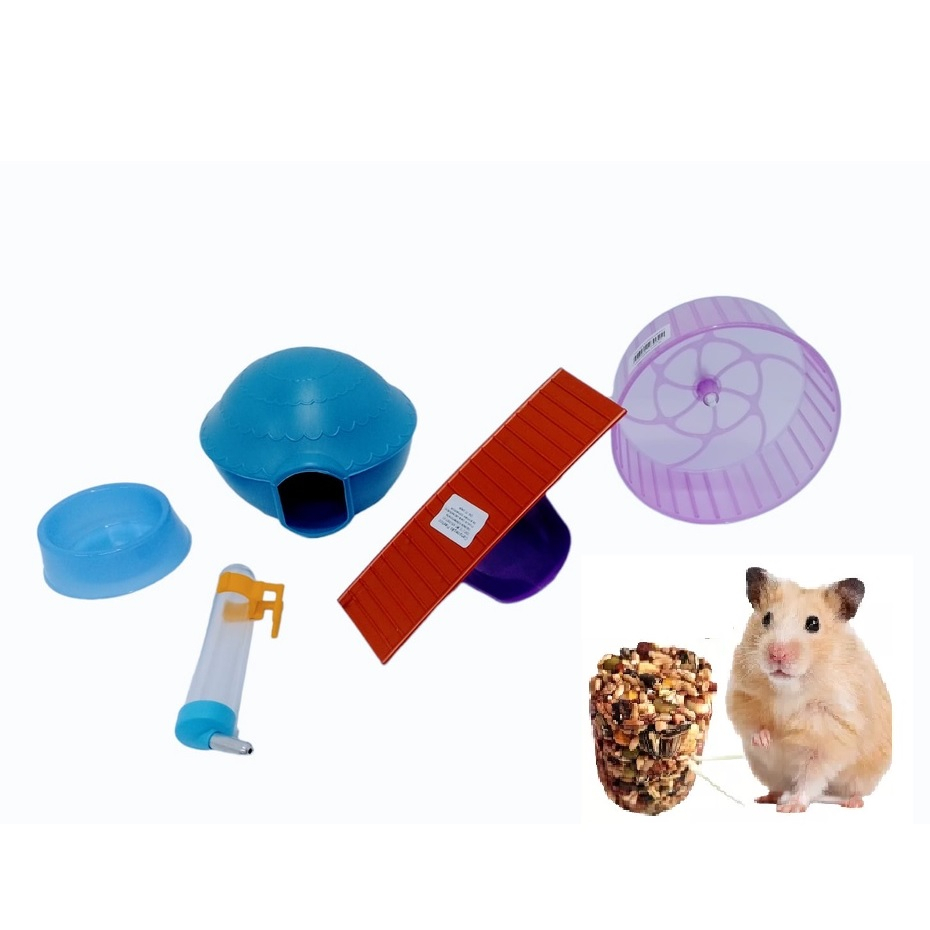 KIT HAMSTER BRINQUEDO E ACESSORIOS | Shopee Brasil