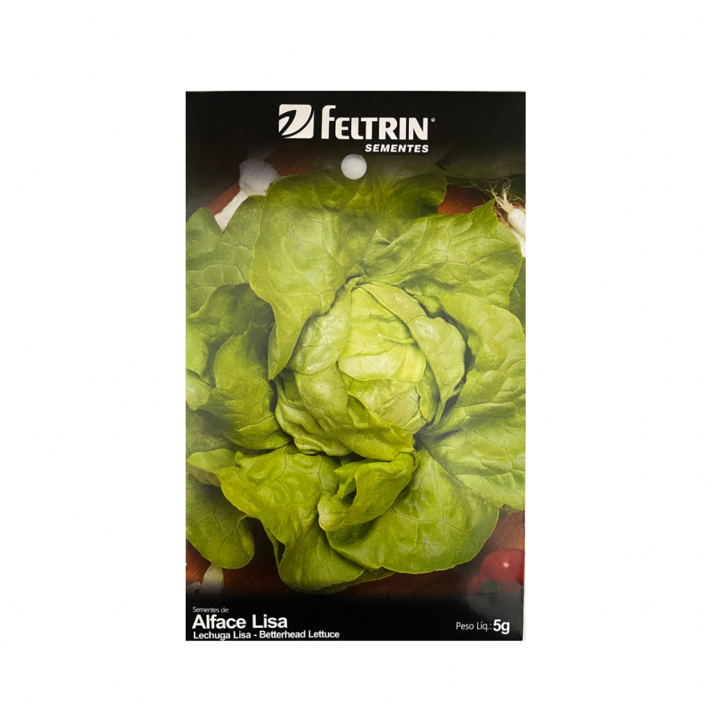 Alface Lisa/ Alface Repolhuda Todo Ano - 5gr de Sementes | Shopee Brasil