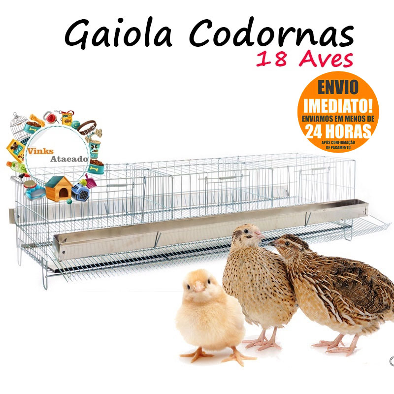 Gaiola Criadeira GRANDE Para Codorna Poedeira Pintinho Completa Com ...