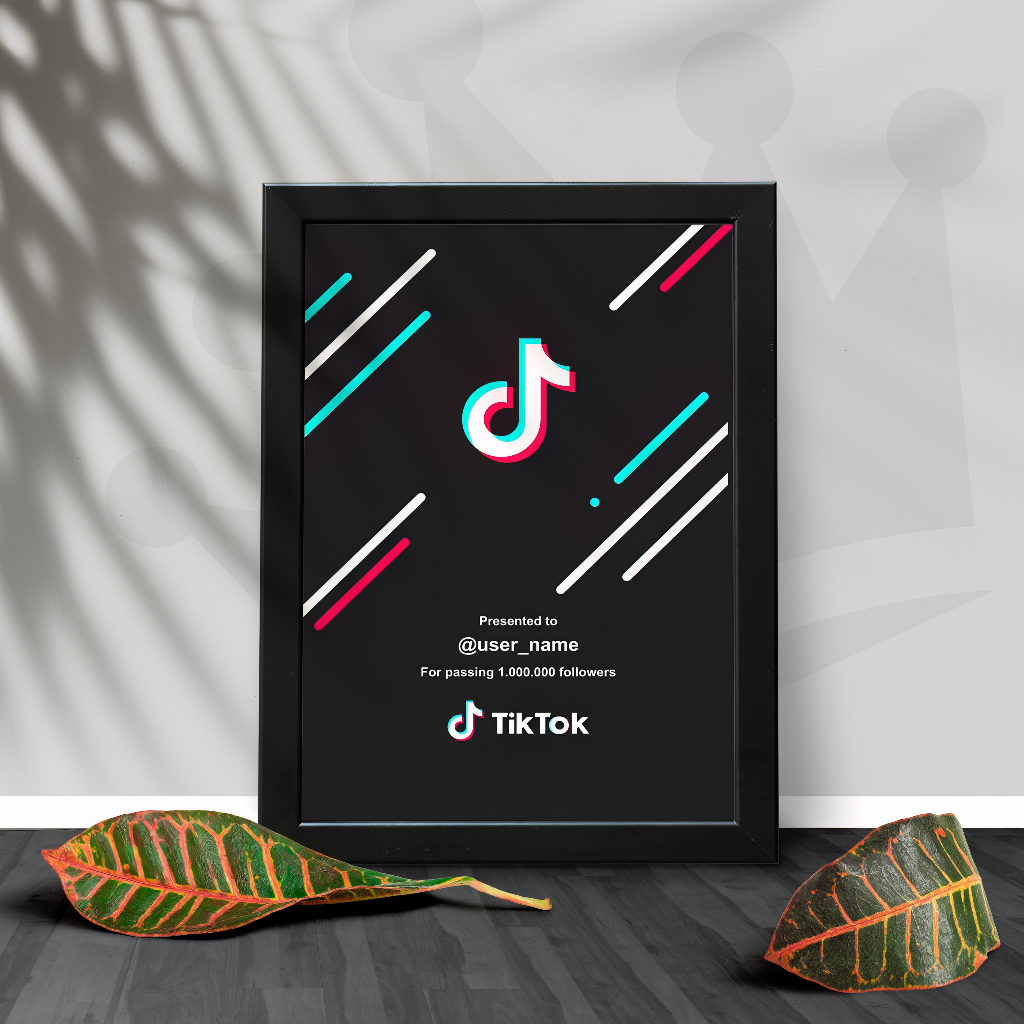 Quadro Moldurado Placa com Nome e Número de Seguidores TikTok ...