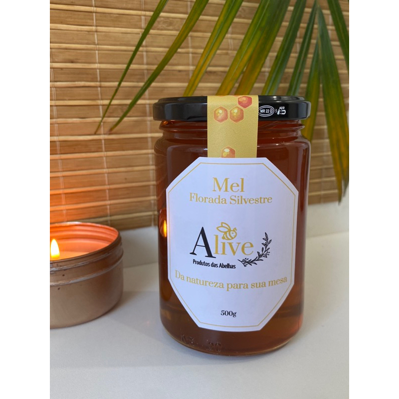 Mel Puro 100% natural 500grs POTE VIDRO mel Cru florada Silvestre ...