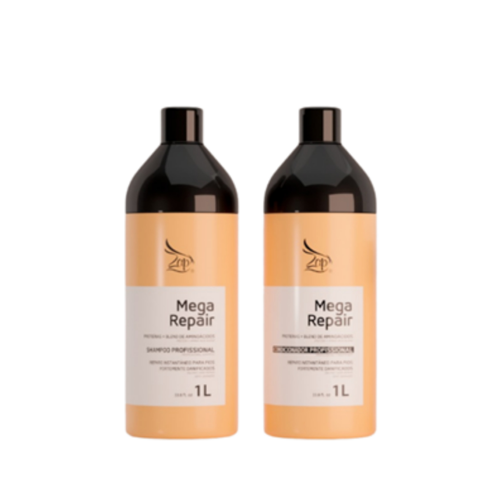 Zap Kit Mega Repair 2x1L | Shopee Brasil