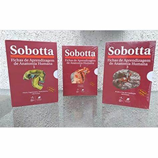 Sobotta - Cards Aprendizagem De Anatomia Humana ( Fichas ) | Shopee Brasil
