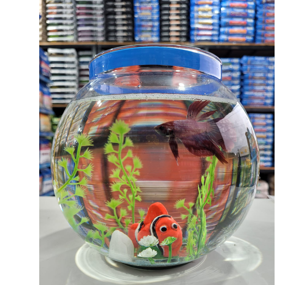 Aquário Beteira Decorada Redondo para Peixe Betta | Shopee Brasil