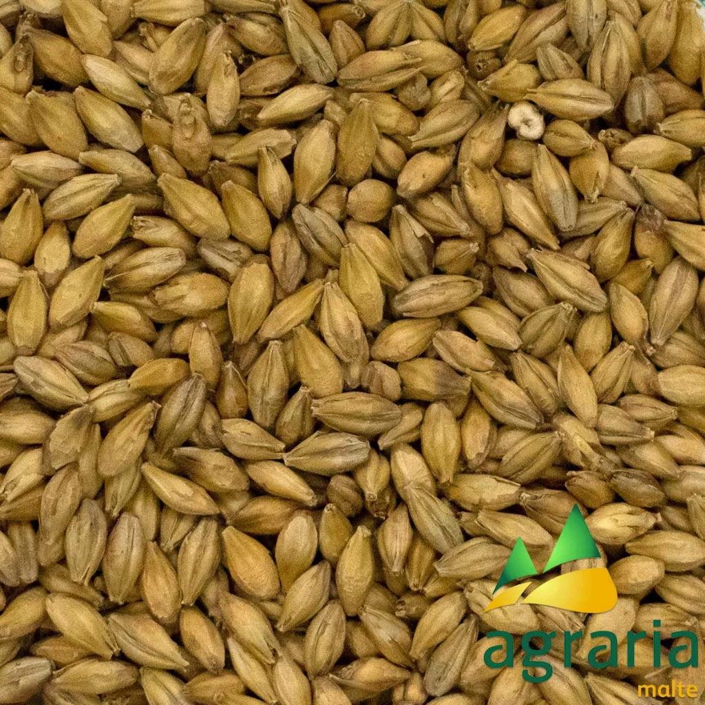 Malte Pilsen Agrária - 5KG | Shopee Brasil