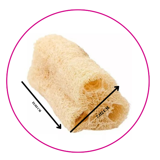 Bucha vegetal banho esponja natural para limpeza de pele | Shopee Brasil