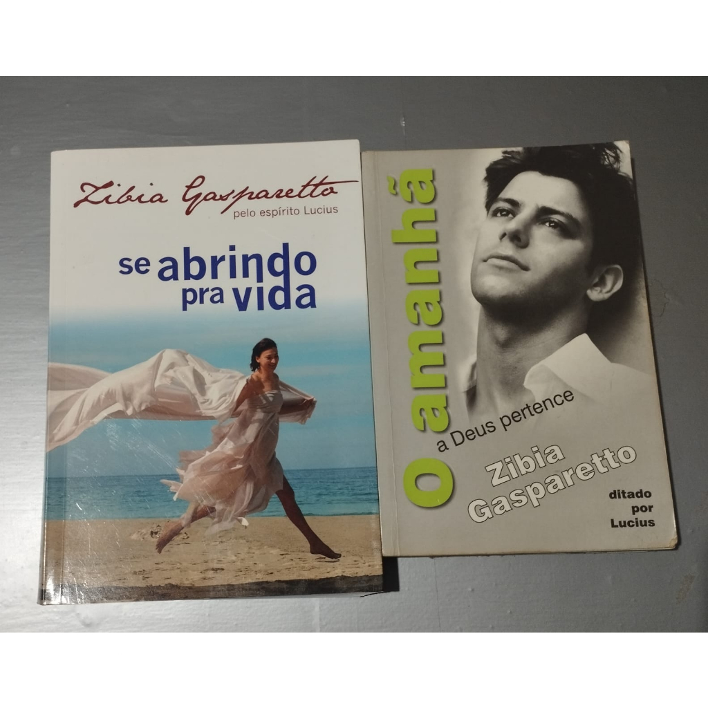 LIVRO ZIBIA GASPARETTO | Shopee Brasil