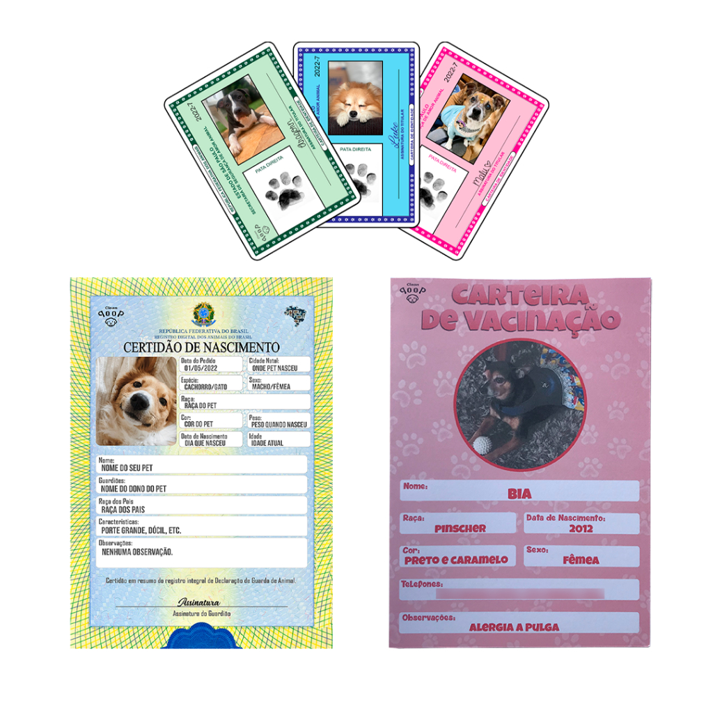 Kit RG Certidão Carteira Vacina PET Foto Cachorro Gatos Animais ...