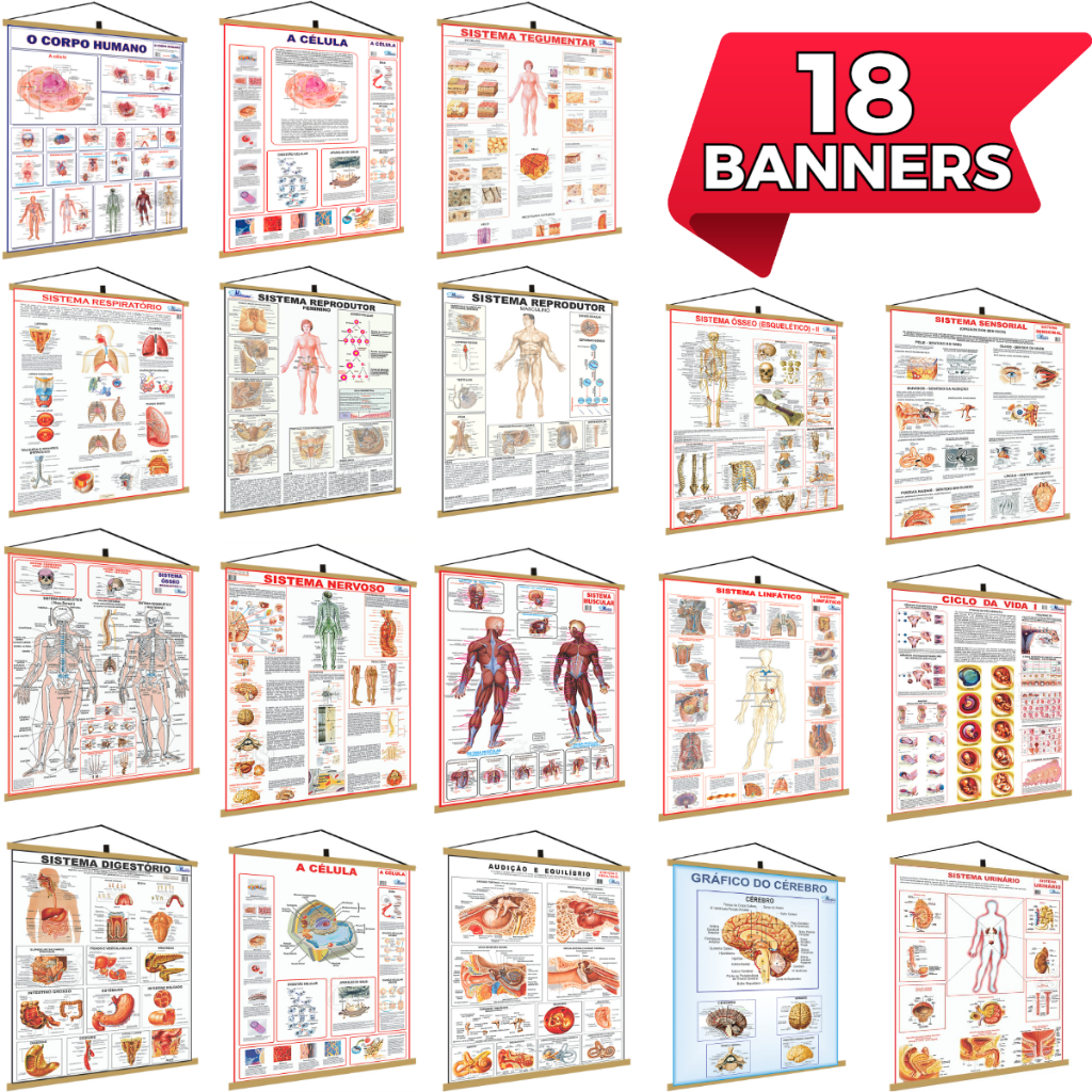 18 Mapa Anatomia Corpo Humano Sistema Muscular Anatomia Medicina ... 18 Mapa Anatomia Corpo Humano Sistema Muscular Anatomia Medicina ...