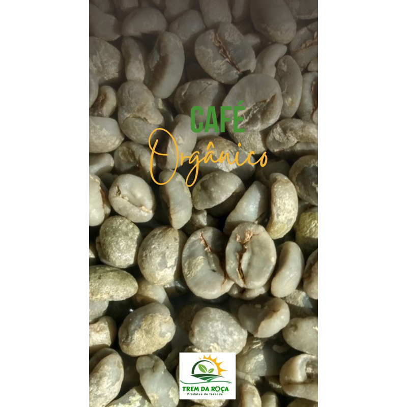 CAFÉ CRU 1kg | Shopee Brasil