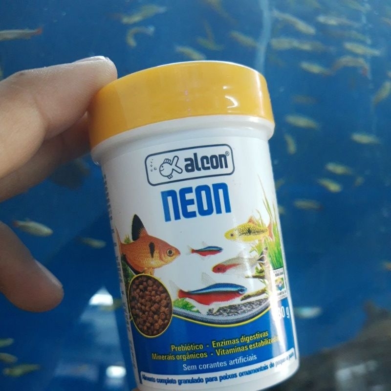 Neon alcon | Shopee Brasil