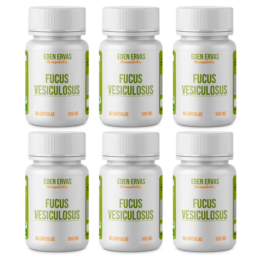 Fucus Vesiculosus em cápsulas/500mg kit 6 potes (para hipotireoidismo ...