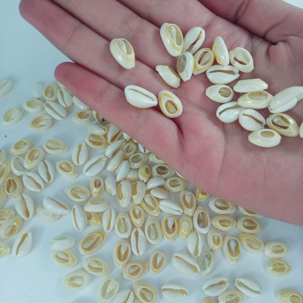 Búzios natural 40 unidades | Shopee Brasil