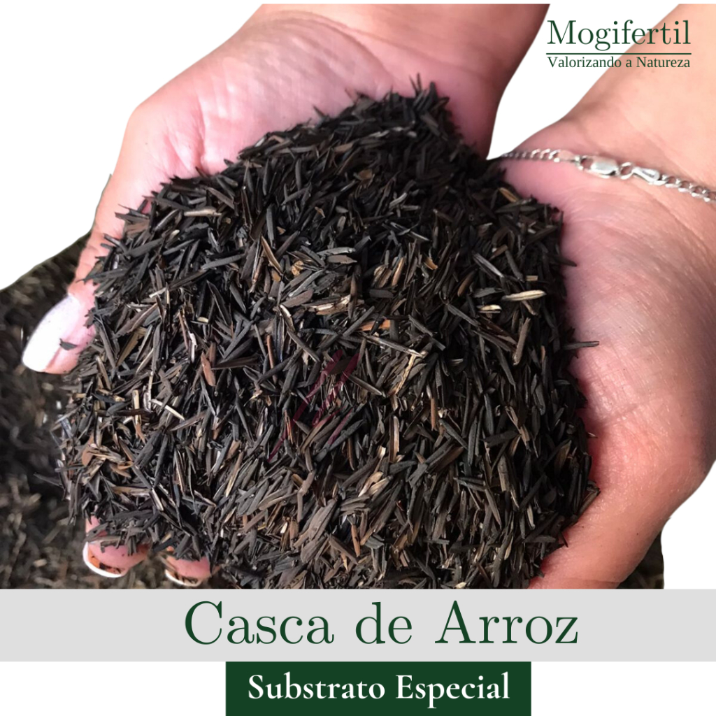 50L Casca de Arroz Carbonizada Substratos para Germinação Plantio ...