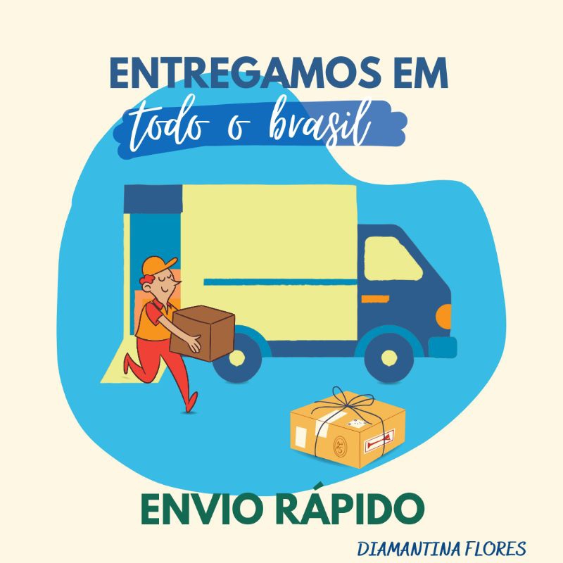 600 flores sempre viva,flor desidratada, florzinha mosquitinho,flor ...