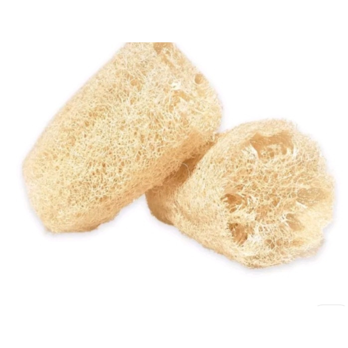 Bucha Vegetal 100% natural ,Ecologica, Banho | Shopee Brasil