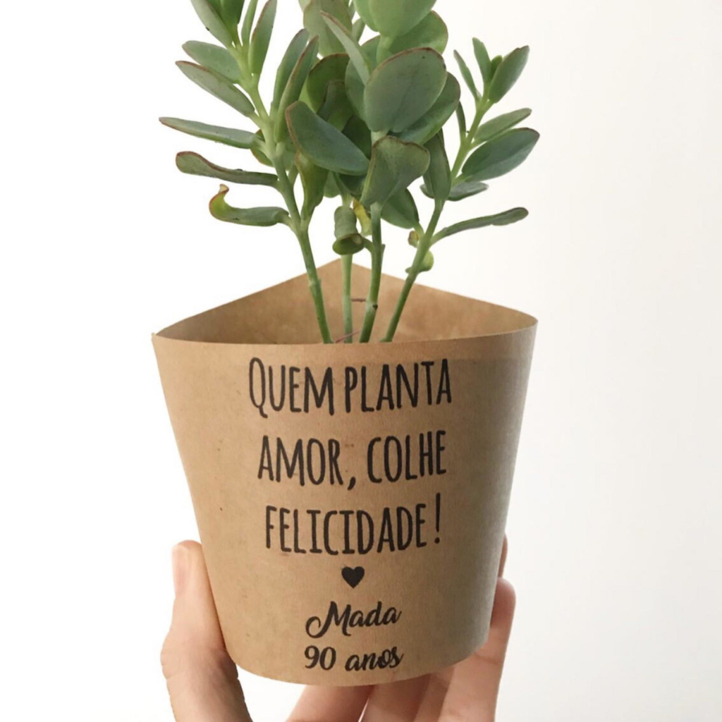 Rótulo para vasos de plantas suculentas nº 11 | Shopee Brasil