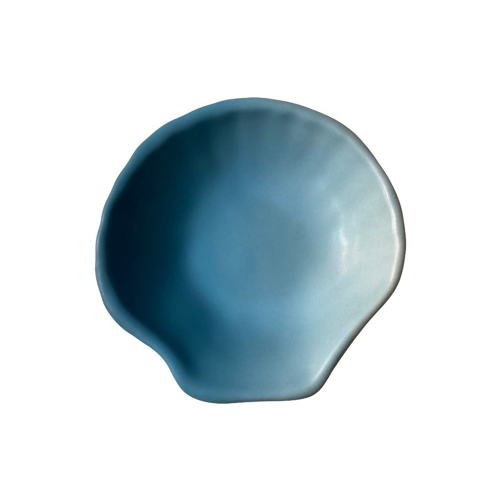 Mini Concha Azul | Shopee Brasil