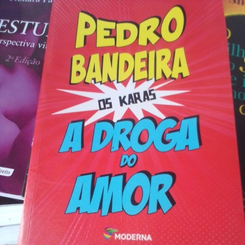 A Droga do Amor os Karas - Pedro Bandeira | Shopee Brasil