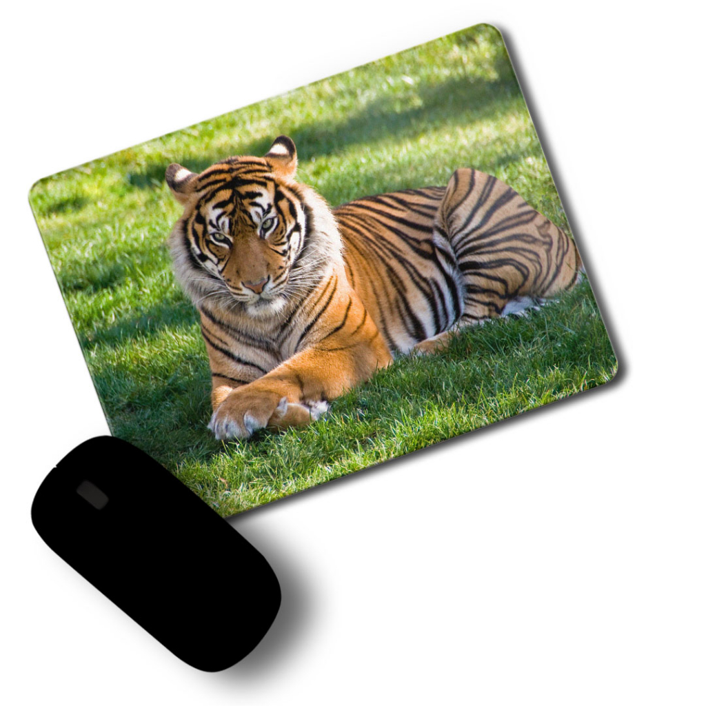 Mouse Pad de Tigre Emborrachado retangular 28x18 cm | Shopee Brasil