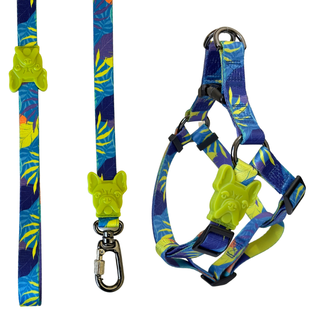 Coleira Peitoral P/ Cachorro c/ Guia de 1,20 Metros Tropical Dog Stilo c/ Nota Fiscal | Shopee ...