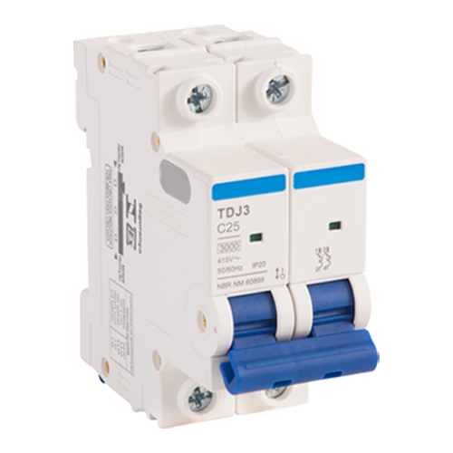 Disjuntor Bipolar duplo 6A, 10A, 16A, 20A, 25A, 32A, 40A, 50A, 63A, 70A, 80A, 100A | Shopee Brasil