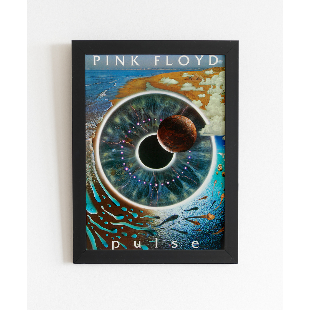 Quadro Banda Pink Floyd Pulse Rock Moldura | Shopee Brasil
