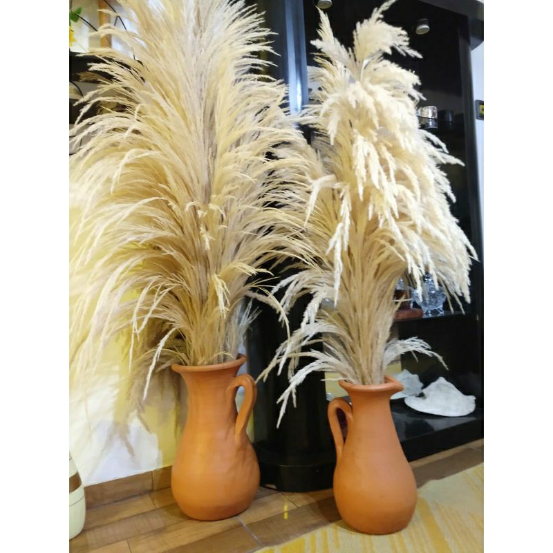 capim dos pampas caramelo Premium luxo 100 cm kit 5 hastes | Shopee Brasil