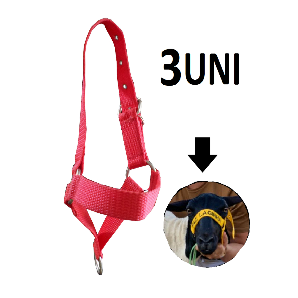 Kit 3 Cabresto de Fita para Cabrito, Bode e Carneiro Varias Cores ...