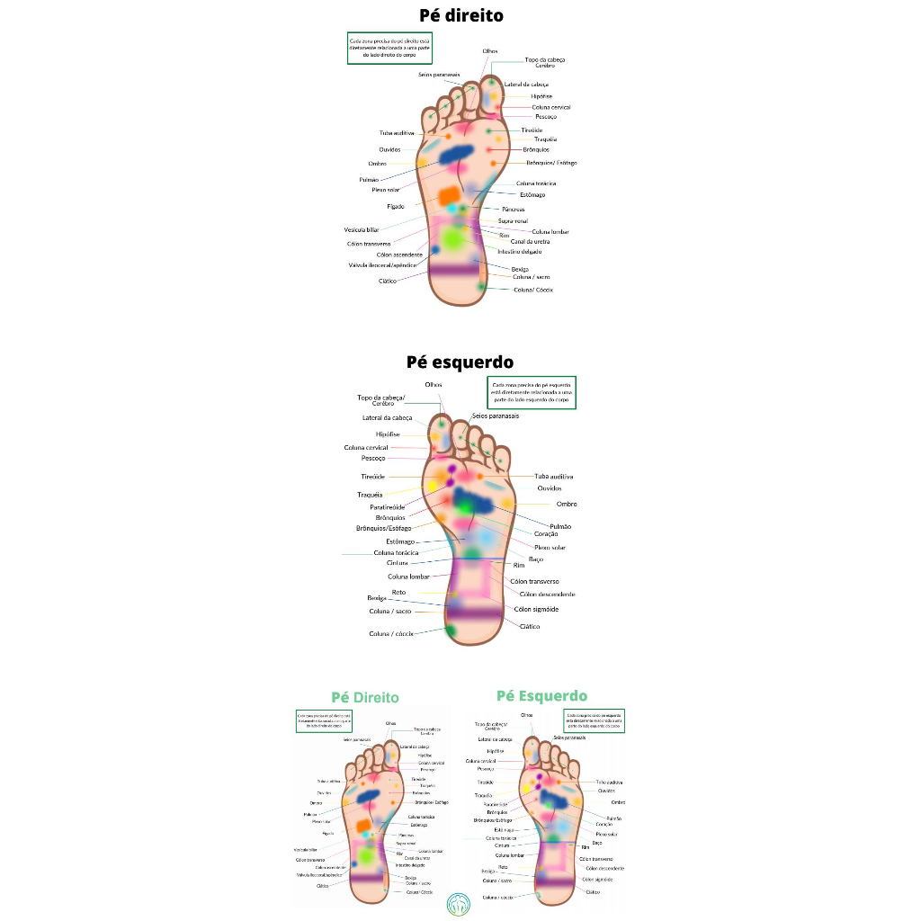 Mapa Reflexologia Podal Áreas Correspondente Dos Pés Plastificado A4 ...