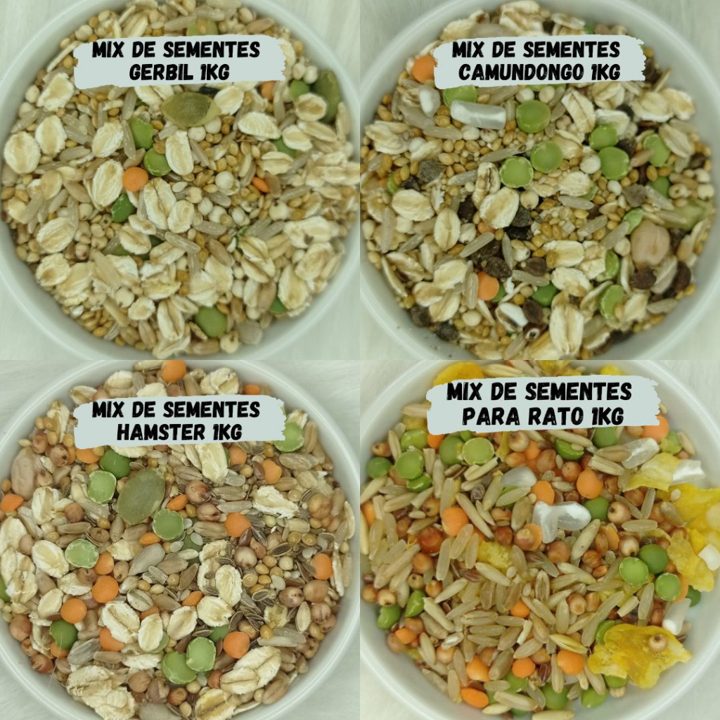 MIX 1kg DE SEMENTES BALANCEADO PARA HAMSTER, GERBIL, CAMUNDONGO E RATO ...