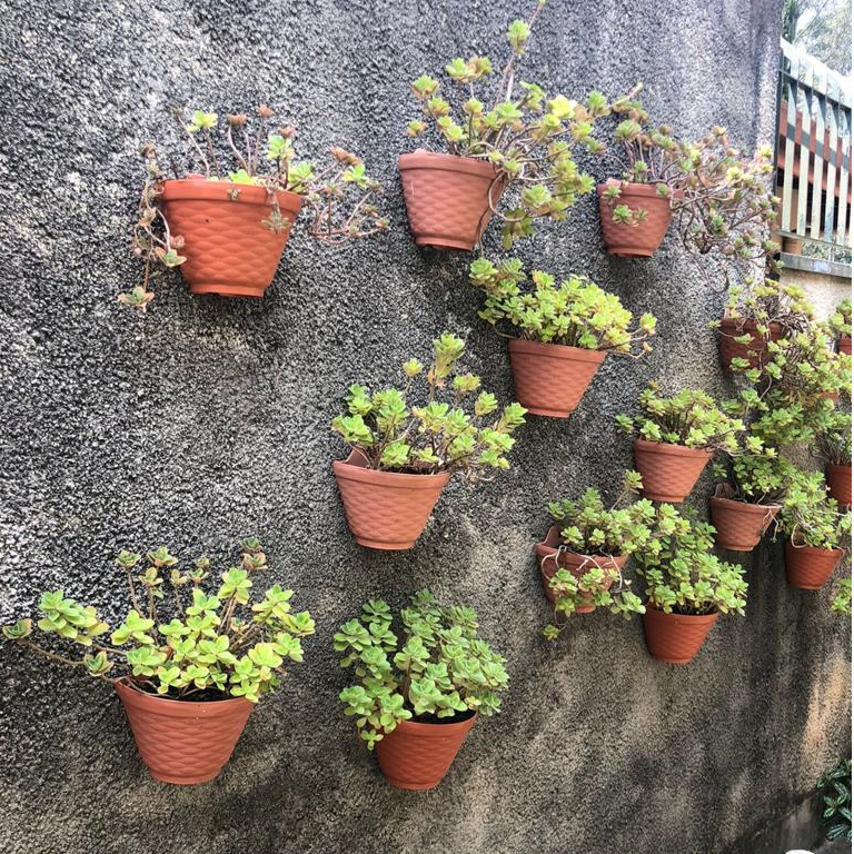 Kit 3 Meio Vaso Meia Lua de Parede para Jardim Vertical 20cm | Shopee ...