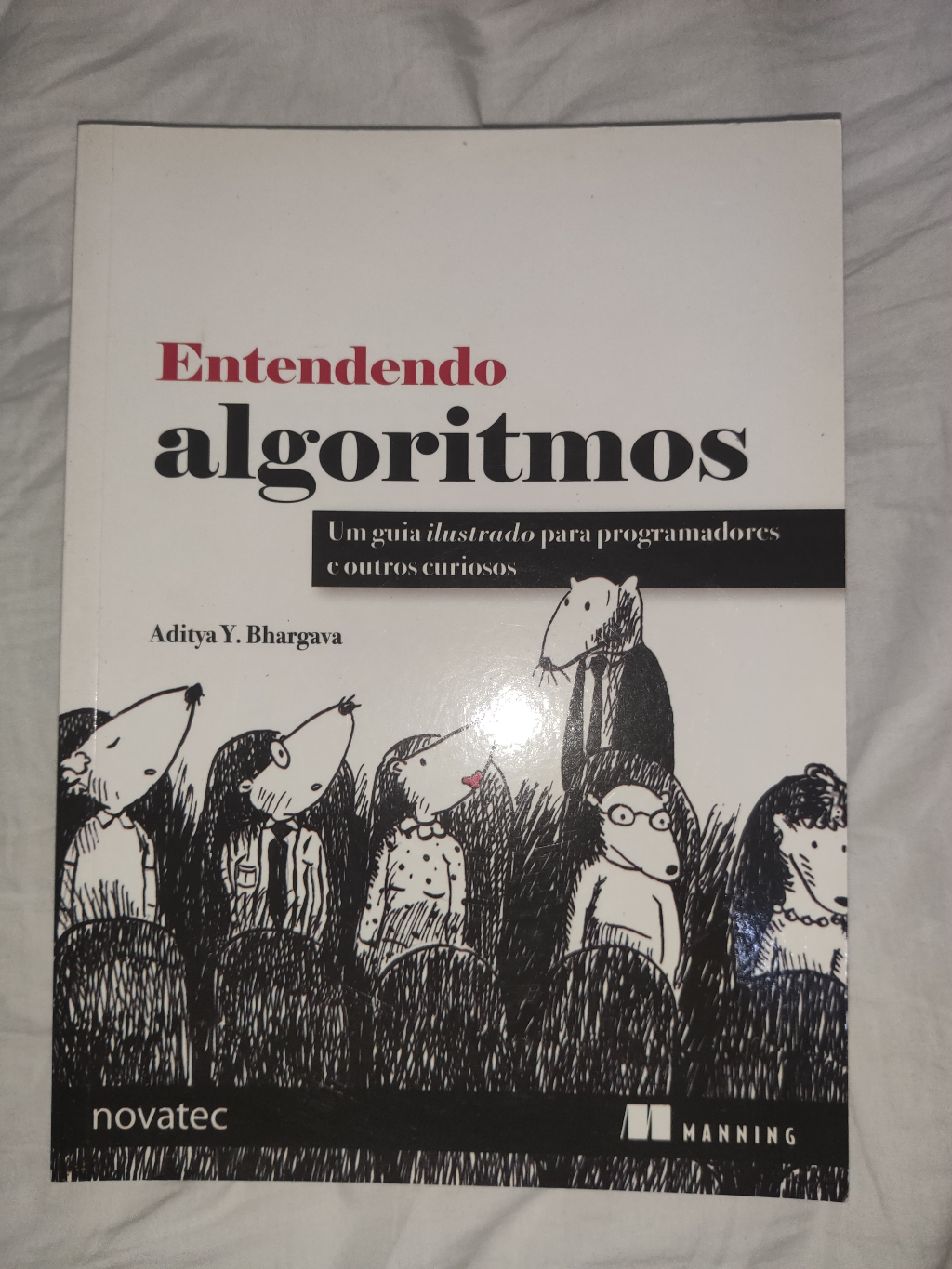 Livro Entendendo Algoritmos: Um guia ilustrado para programadores e ...