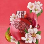 PERFUME INTENSE REDD FE. (INSP. OLFATIVA FLORATA RED) 60ML | Shopee Brasil