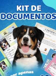Kit de Documentos | Shopee Brasil