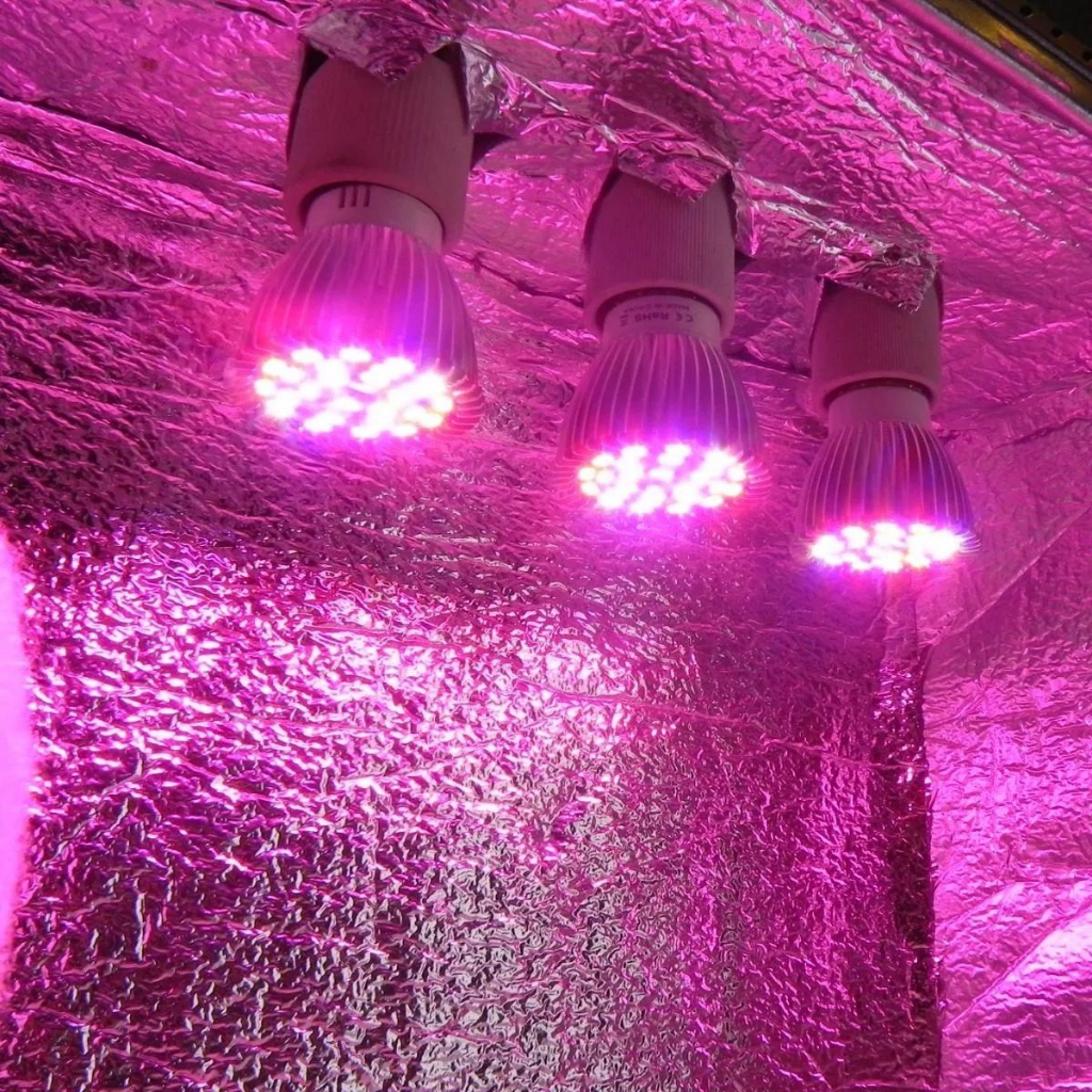 Estufa Cultivo Indoor PC Grow Full Spectrum 84W Filtro Ativado ...