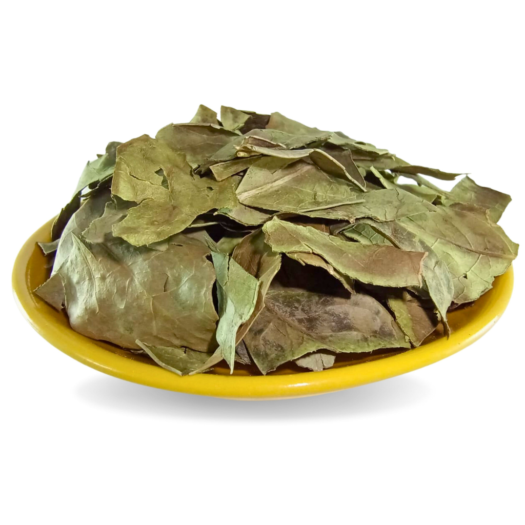 Folhas Secas de Chá Verde Brasileiro Erva Pura Natural | Shopee Brasil