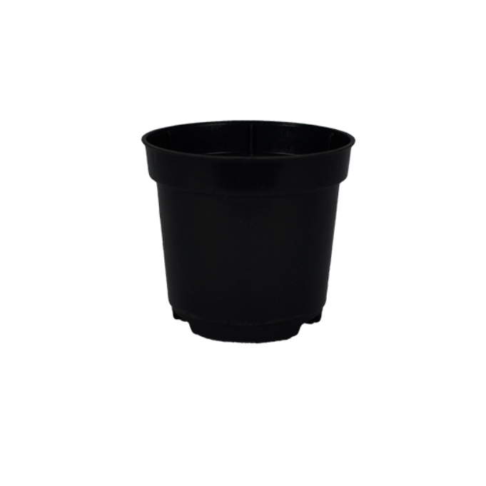 Mini vaso de planta - Vaso pote 6 - kit com 10 unidades para decoração ...