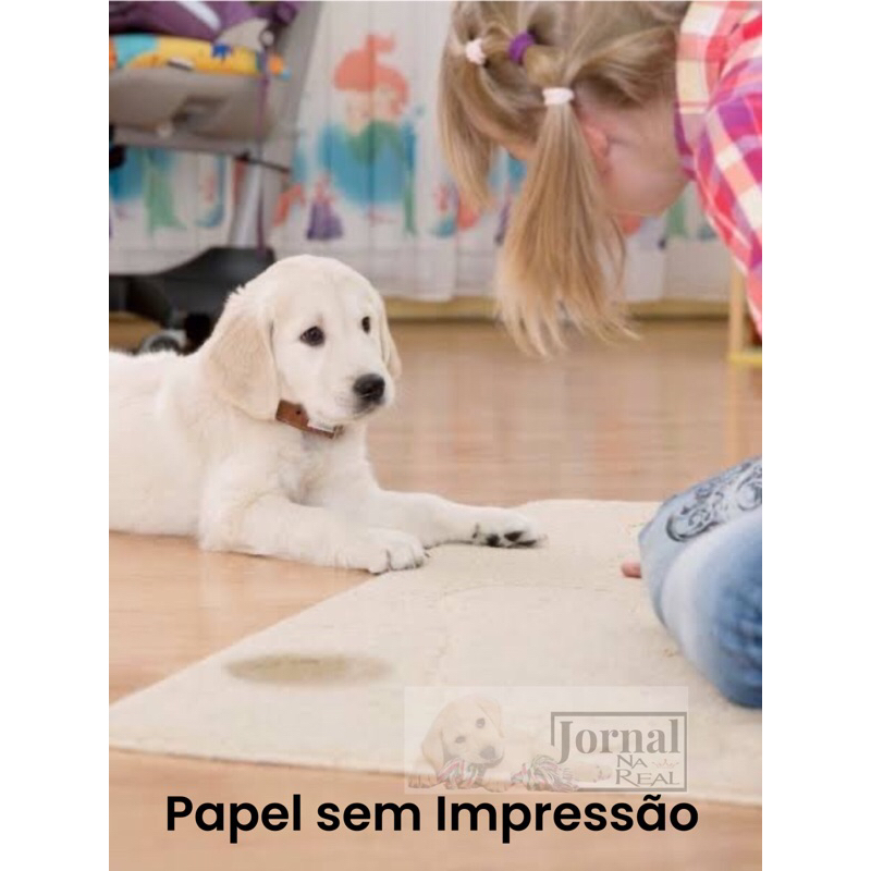 PAPEL PARA PET SEM IMPRESSÃO 10 KG | Shopee Brasil