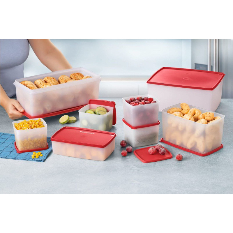kit Freezer completo Tupperware | Shopee Brasil