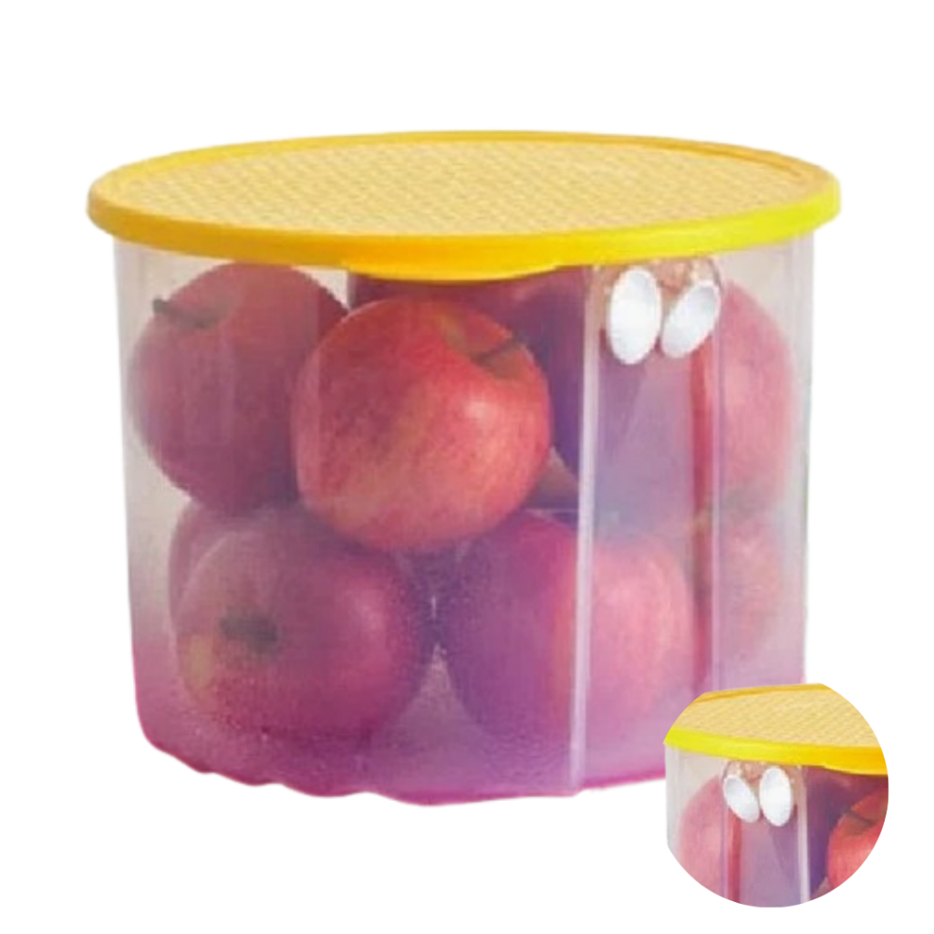 Tupperware Original Fresh Smart Redondo 4,7 litros Transparente Tampa ...