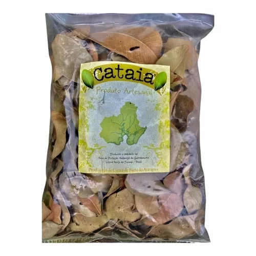 Pacote por volta de 100 Folhas Cataia Desidratadas Secas 30g | Shopee ...
